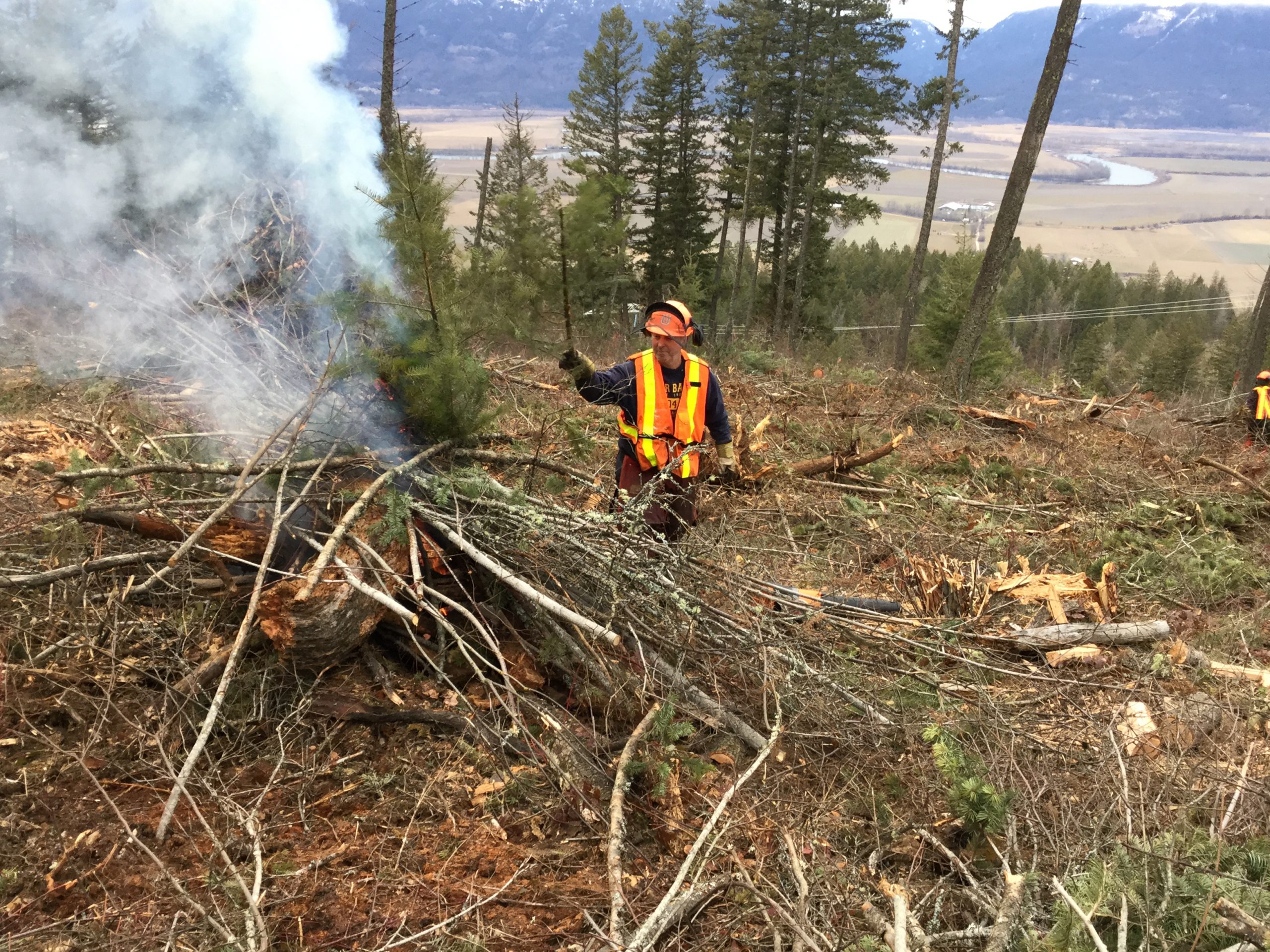 B.C. Community Forests Take Action to Reduce Wildfire Risk : Forest ...