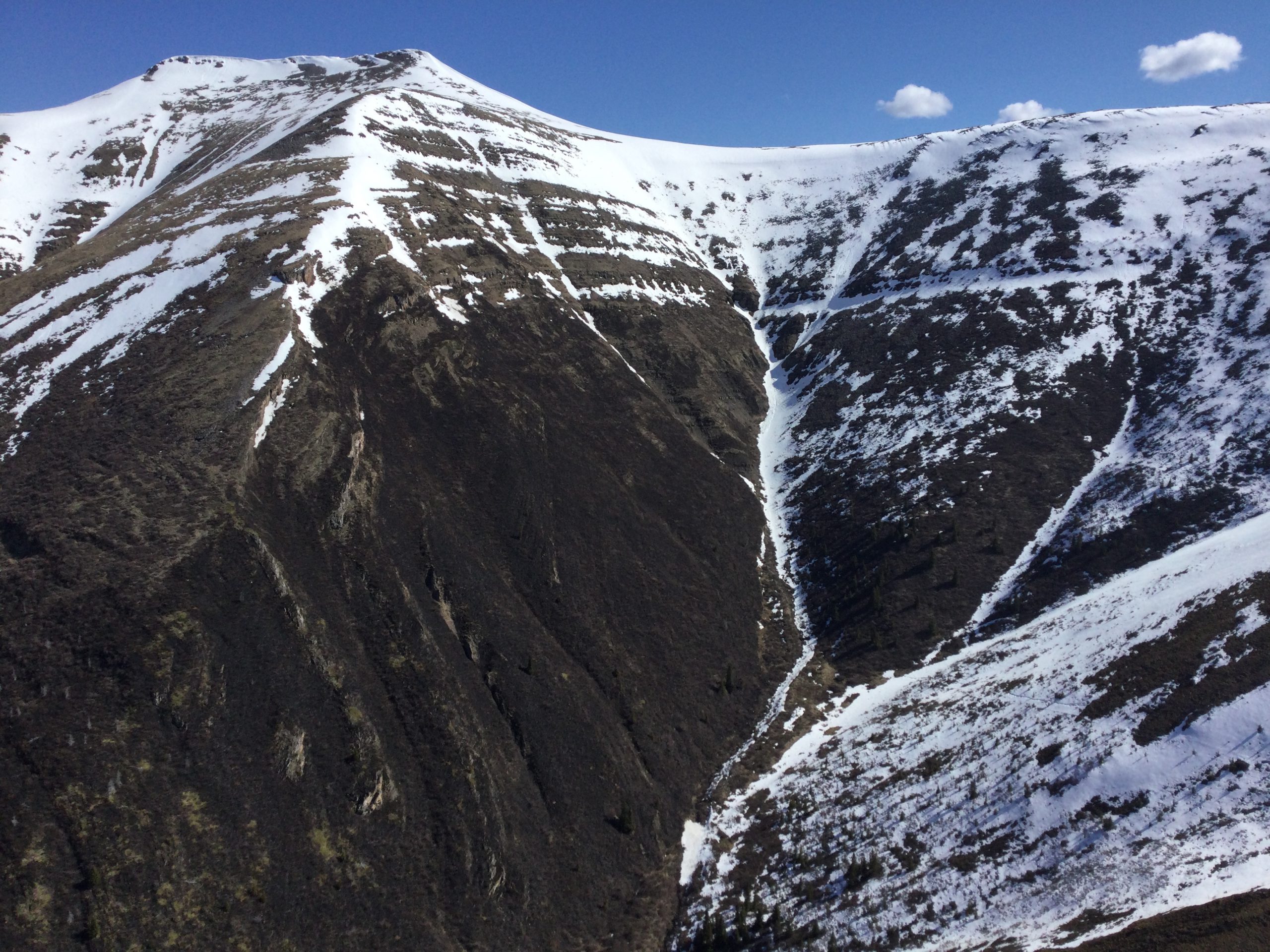 Prescribed Burns and Sheep Habitat Enhancement in the Omineca-Peace ...