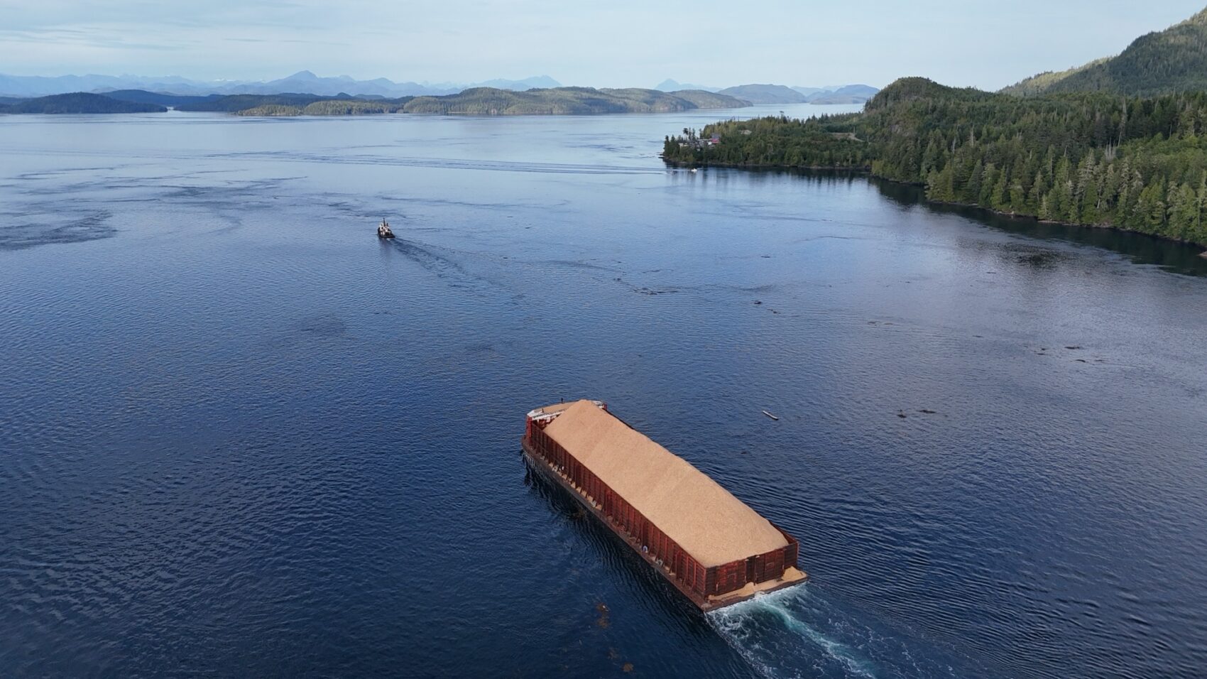 Special Report Highlights the Connection of B.C. Forestry’s Past to its ...
